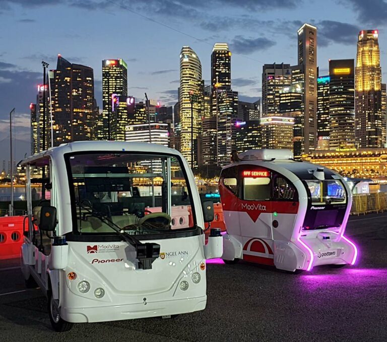 Home - Strides Mobility